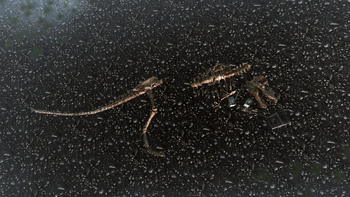 Submerged T-Rex | Fallout Wiki | Fandom