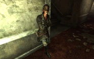Prostitution | Fallout Wiki | Fandom