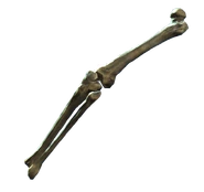 Bones (Fallout 76) | Fallout Wiki | Fandom