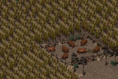 Corn | Fallout Wiki | Fandom