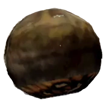 Radtoad omelette | Fallout Wiki | Fandom