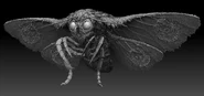 Mothman | Fallout Wiki | Fandom