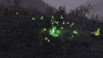 Gleaming Depths (location) | Fallout Wiki | Fandom