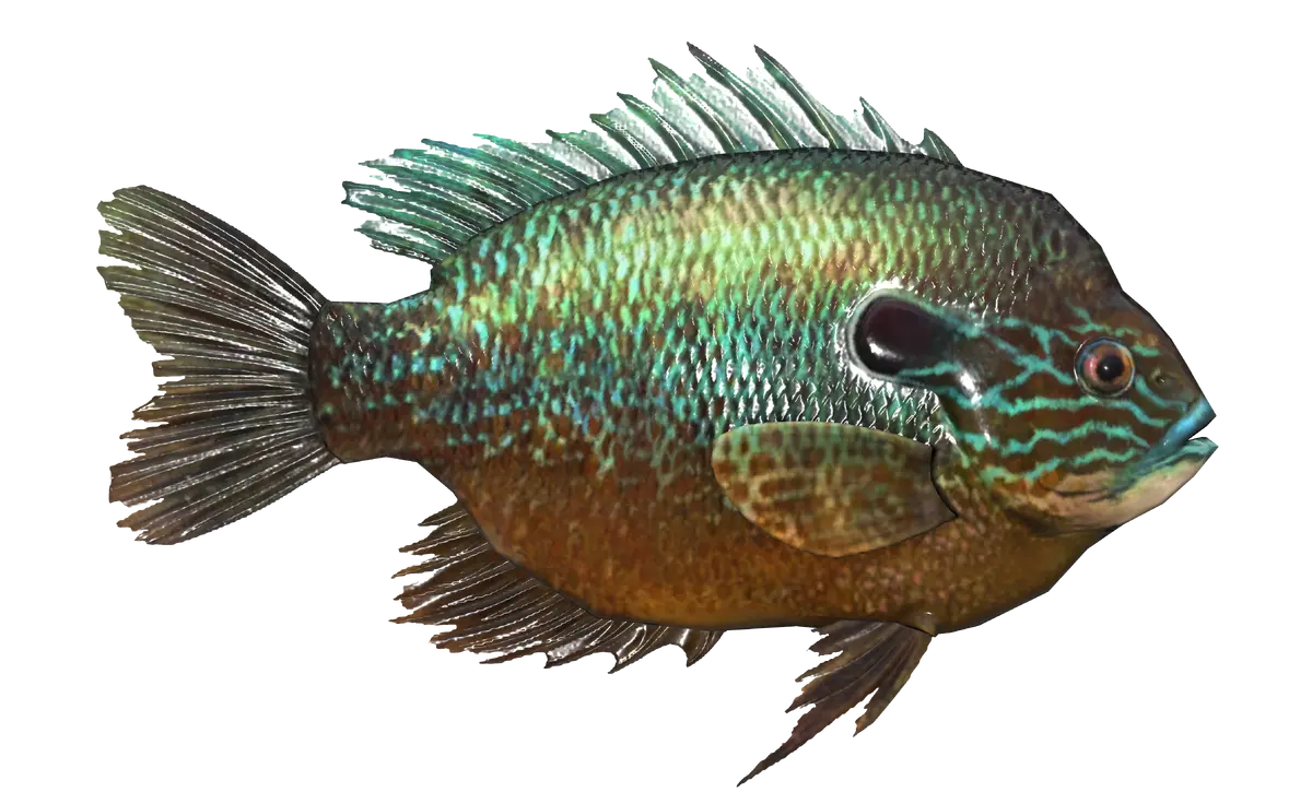 Sunscream | Fallout Wiki | Fandom