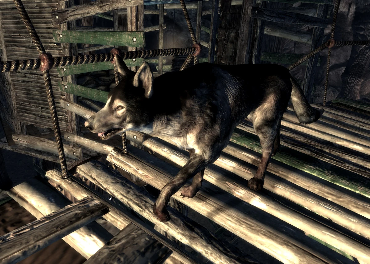 Rex (Fallout 3) | El Refugio | Fandom