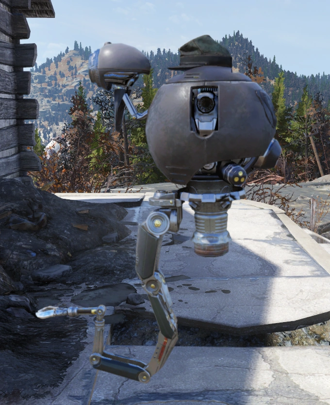 Confederate guide | Fallout Wiki | Fandom