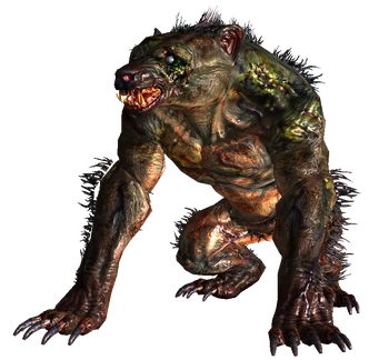 Yao guai (Honest Hearts) | Fallout Wiki | Fandom