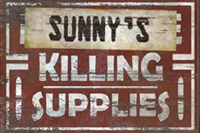 Sunny (Wastelanders) | Fallout Wiki | Fandom