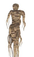 Ginseng root | Fallout Wiki | Fandom