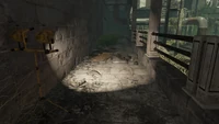 Flooded city center | Fallout Wiki | Fandom