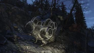 Vertibird (Fallout 76) | Fallout Wiki | Fandom