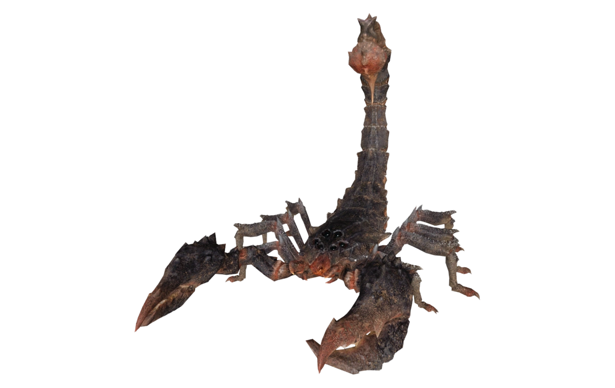 Radscorpion (Fallout 4) | L'Abri | Fandom