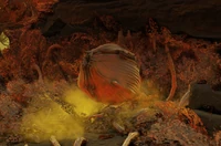 Strangler heart | Fallout Wiki | Fandom