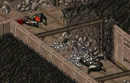 Dynamite (Fallout) | Fallout Wiki | Fandom