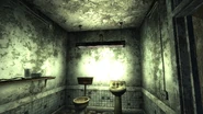 Mini nuke (Fallout 3) | Fallout Wiki | Fandom