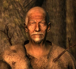 Birch | Fallout Wiki | Fandom