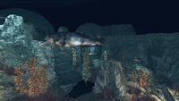 Aquarium of the Atlantic | Fallout Wiki | Fandom