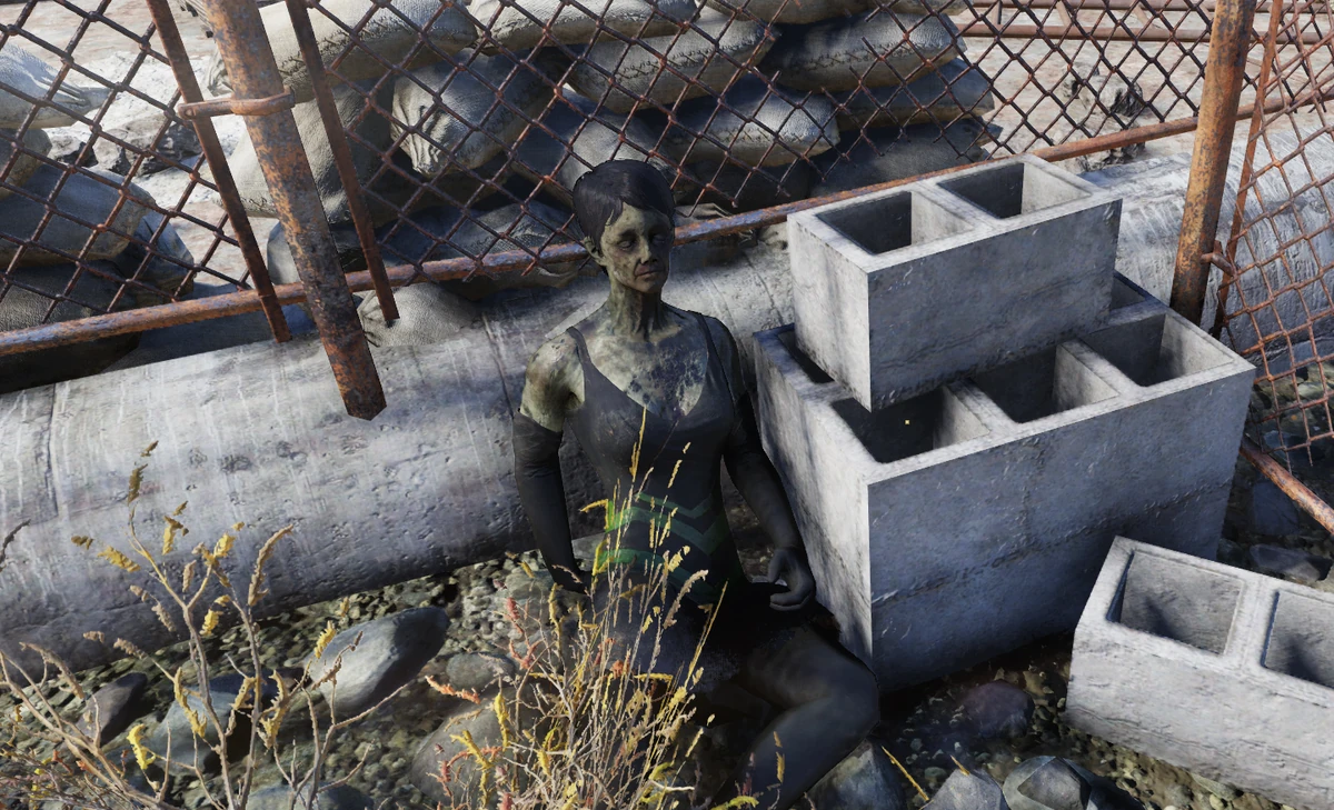 Damaged holotape | Fallout Wiki | Fandom