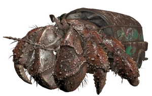 Hermit crab | Fallout Wiki | Fandom