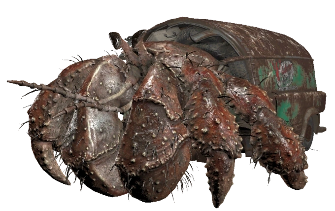 Hermit crab | Fallout Wiki | Fandom