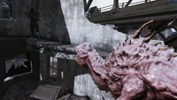 Snallygaster | Fallout Wiki | Fandom