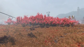 Veiled sundew grove | Fallout Wiki | Fandom