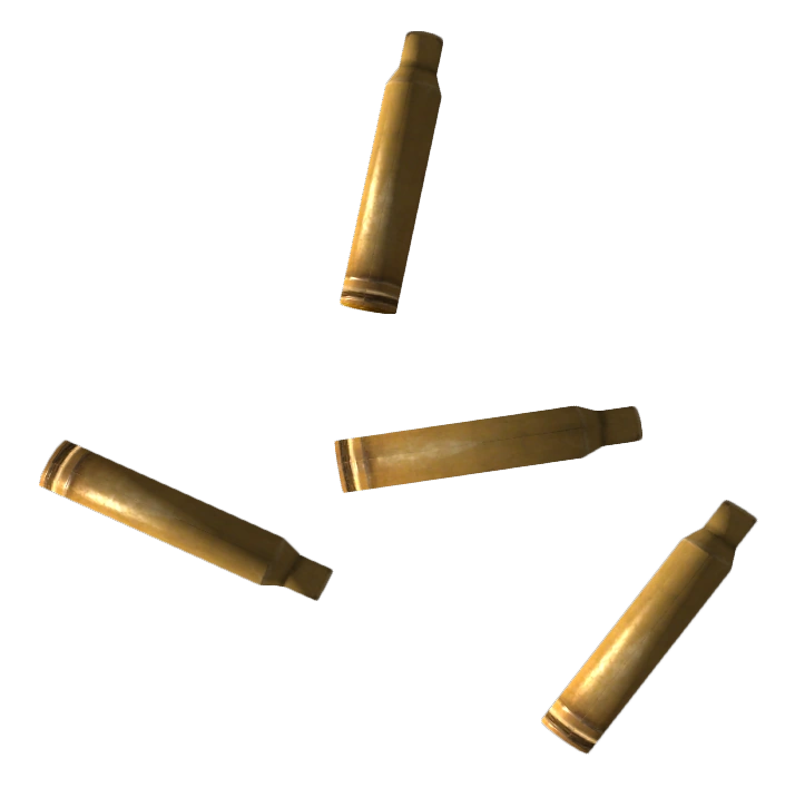 Case, .308 | Fallout Wiki | Fandom