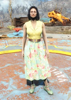 Flowery dress | Fallout Wiki | Fandom
