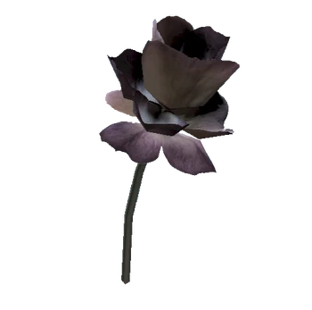 Mutated fern flower (Fallout 4) | Fallout Wiki | Fandom