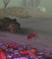 Bloatfly (Fallout 3) | Fallout Wiki | Fandom