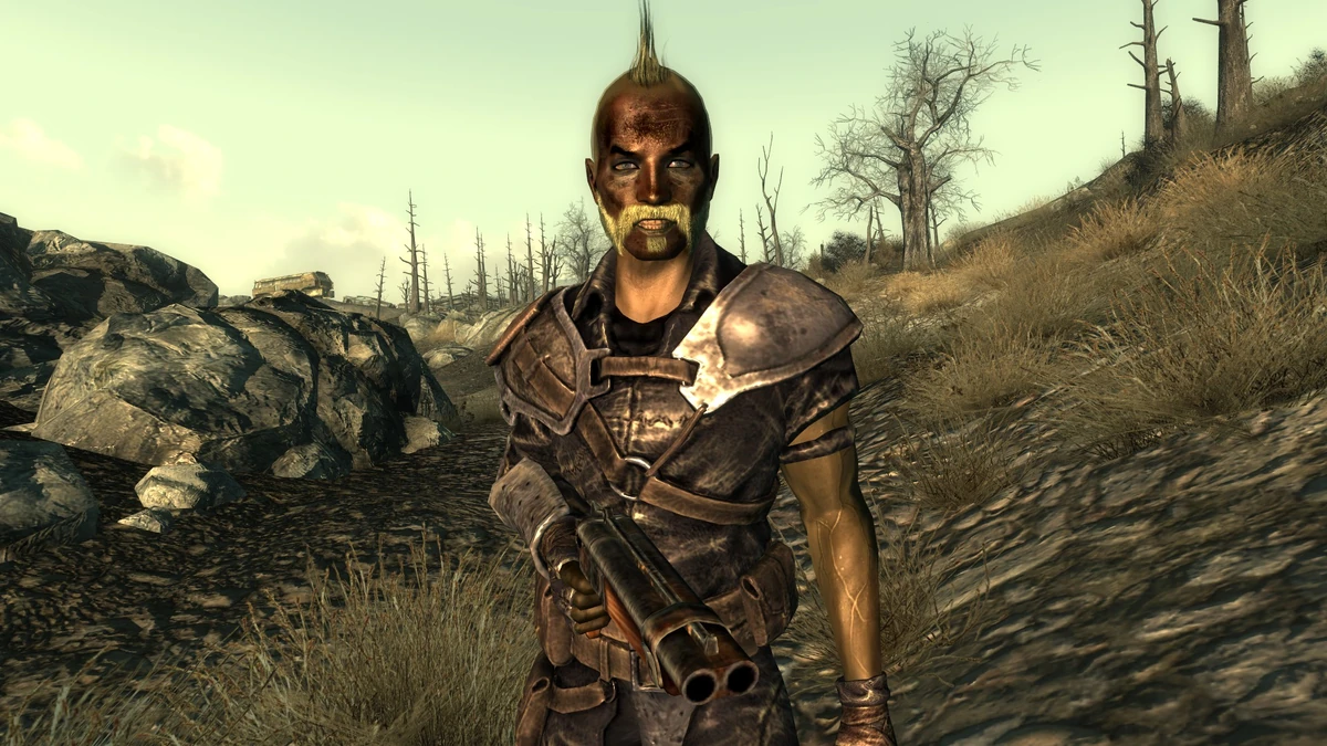 Wanderer (character) | Fallout Wiki | Fandom