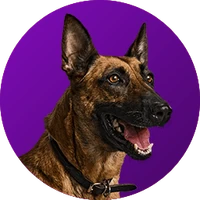 CX404 | Fallout Wiki | Fandom