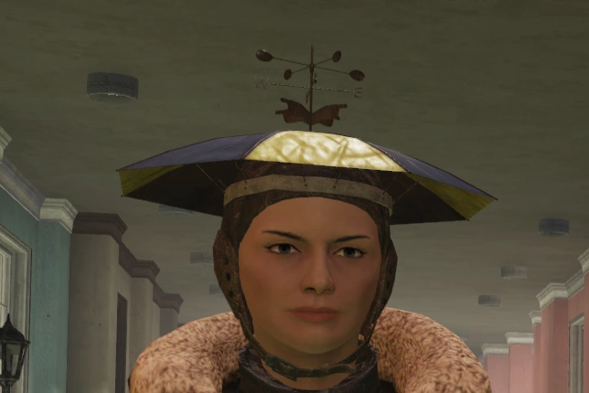Umbrella hat | Fallout Wiki | Fandom