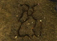 Chance's map | Fallout Wiki | Fandom