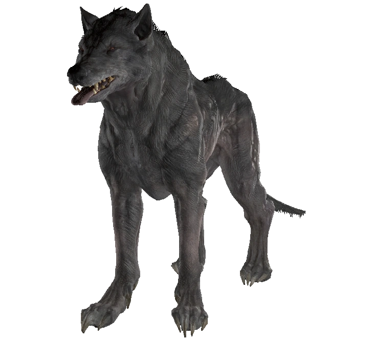 Pack Of Vicious Wolves