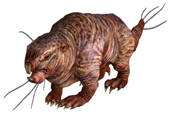 Mole rat (Fallout 3) | Fallout Wiki | Fandom