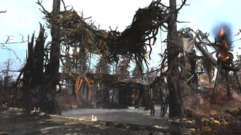 Sacramental Glade | Fallout Wiki | Fandom