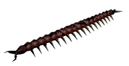 Centipede | Fallout Wiki | Fandom