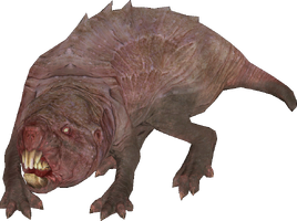 Mole rat (Fallout 76) | Fallout Wiki | Fandom