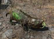 Mole rat | Fallout Wiki | Fandom