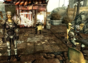 Bandit (Broken Steel) | Fallout Wiki | Fandom