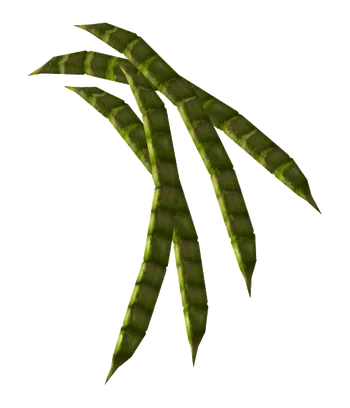 Honey mesquite pod | Fallout Wiki | Fandom