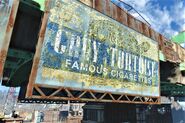 Grey Tortoise | Fallout Wiki | Fandom