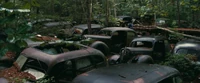 Filly | Fallout Wiki | Fandom