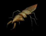 Desert stalker | Fallout Wiki | Fandom