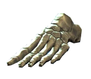 Bones (Fallout 4) | Fallout Wiki | Fandom