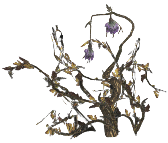 Wild tato plant (Fallout 76) | Fallout Wiki | Fandom Wild tato plant (Fallout 76) | Fallout Wiki | Fandom