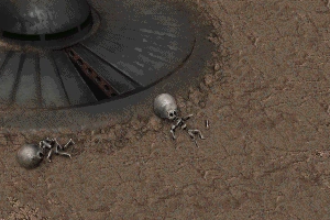 Fuzzy painting (Fallout) | Fallout Wiki | Fandom