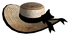 Vikki's bonnet | Fallout Wiki | Fandom