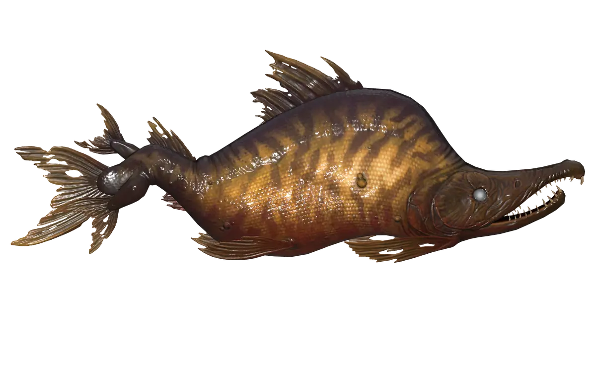 Potbelly kelt | Fallout Wiki | Fandom